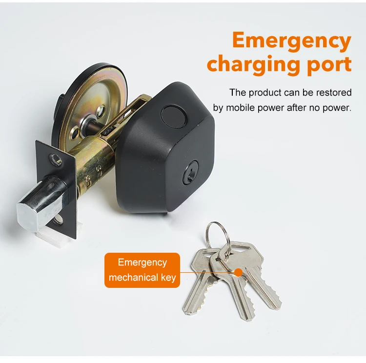 Deadbolt Locks Dead Bolt Security Door Fingerprint Electric App Key ...