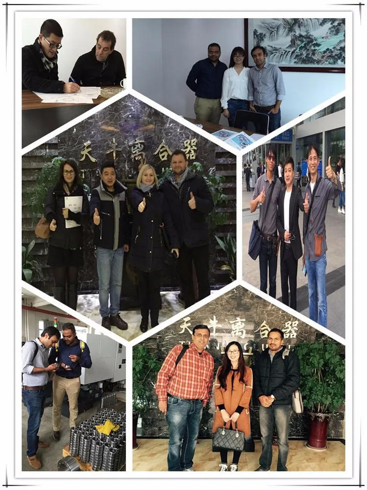 Series Bolts Flange Pillow Block Bearing UCFL202 UCFL 202 UCF207 UCF208 ...