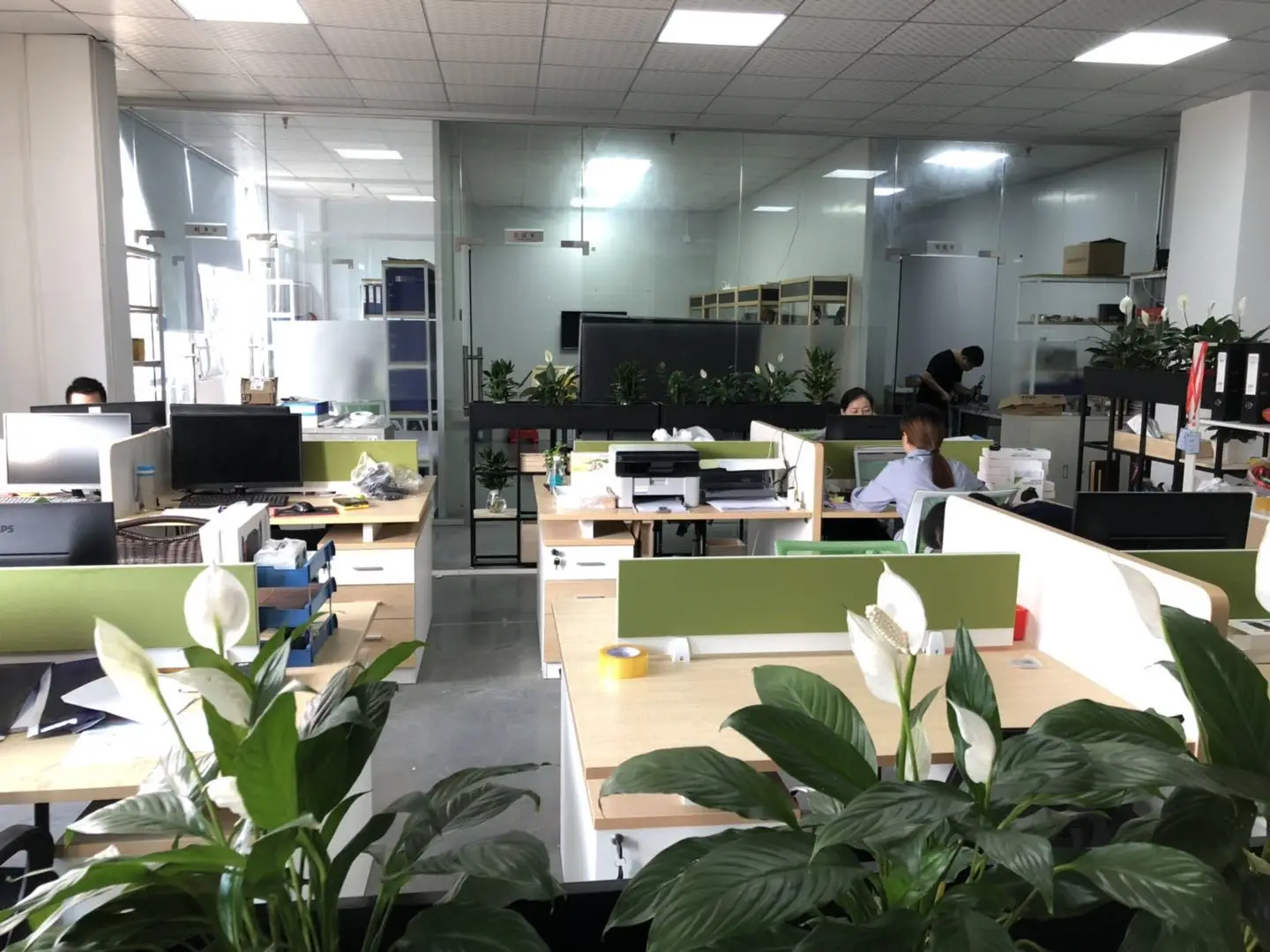 Company Overview - Shenzhen Dasheng Electronic Technology Co., Ltd.