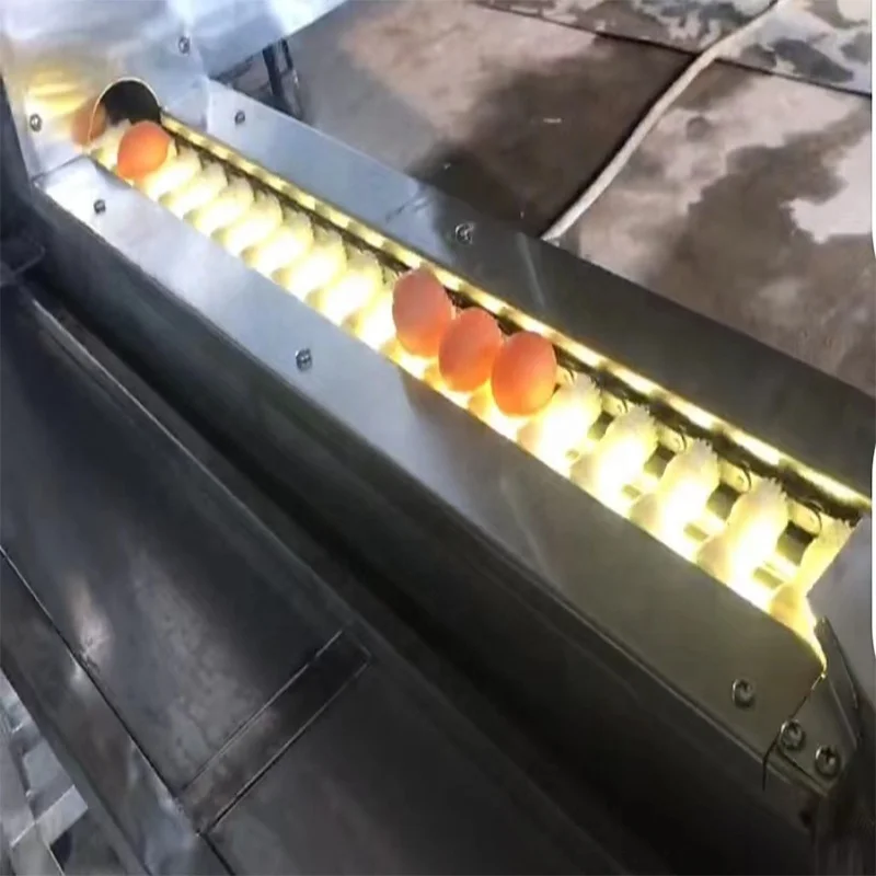 Hot Sale Stainless Steel Egg Washing Line Clean Egg Processing Line ...