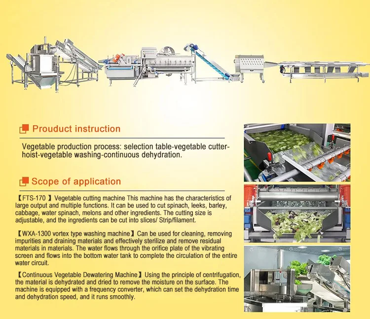 Automatic Vegetable & Fruit Cutting Washing Production Line,Salad Vegetable Processing Line ...