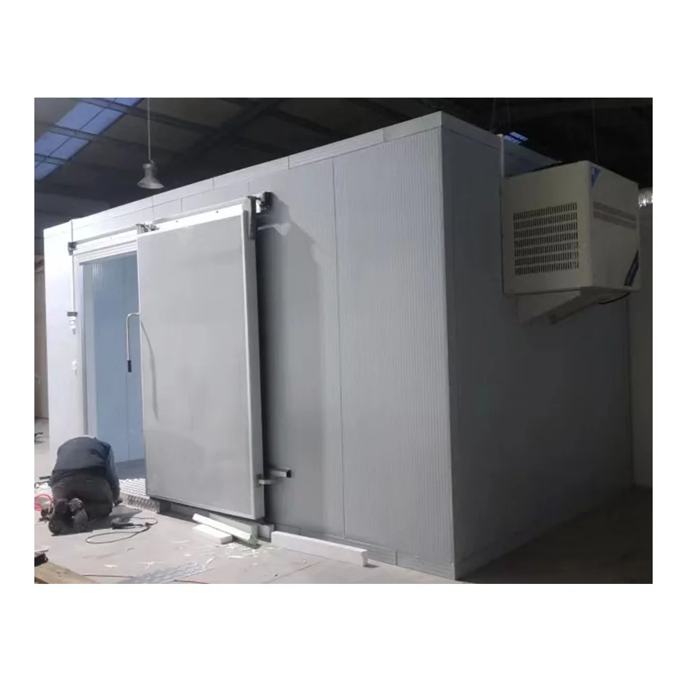 Commercial Hotel Cold Storage Refrigerator Meat Freezer Cold Room ...