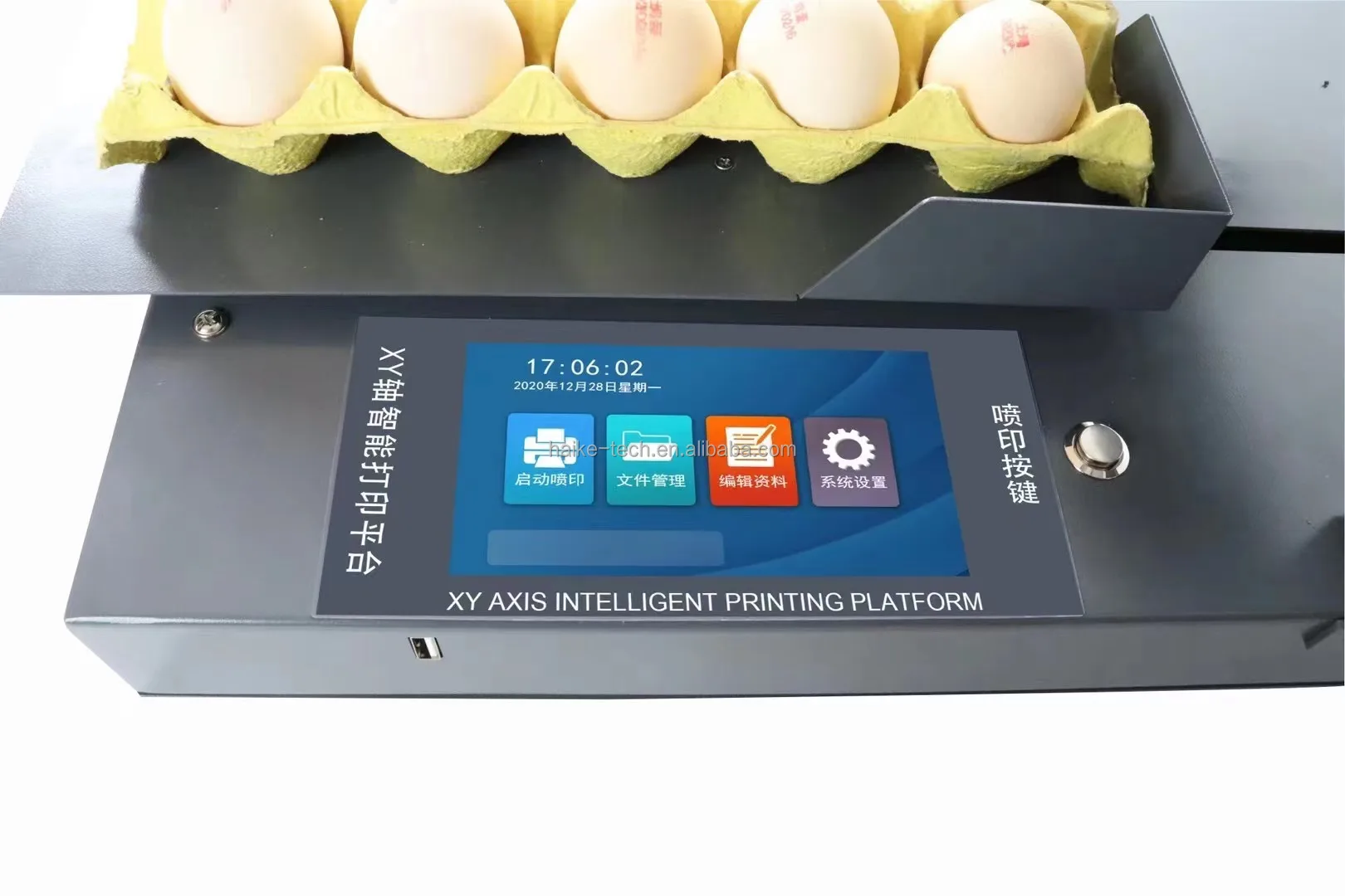 Automatic Egg Date Printer Printing Machine / Egg Stamping Machine ...