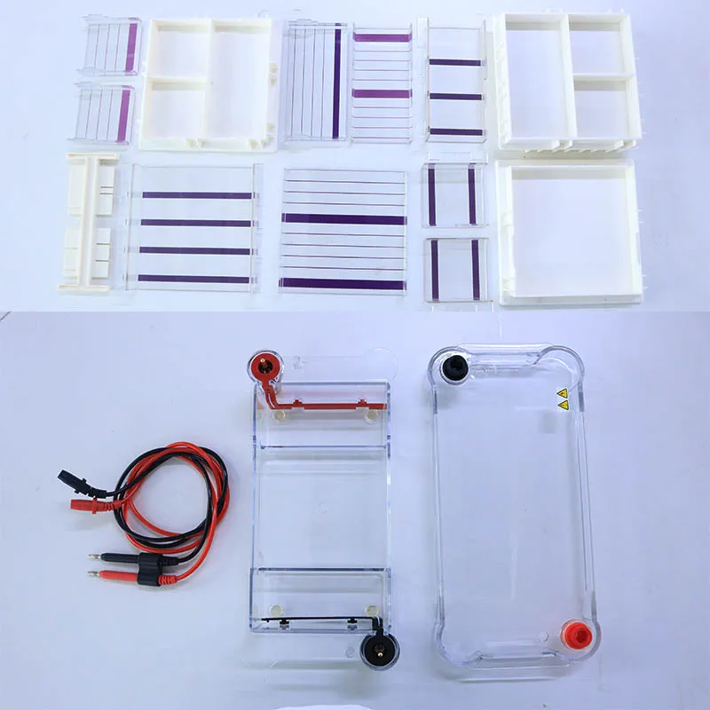 Biobase China Discount Horizontal Electrophoresis Tank Bk-het02 With ...