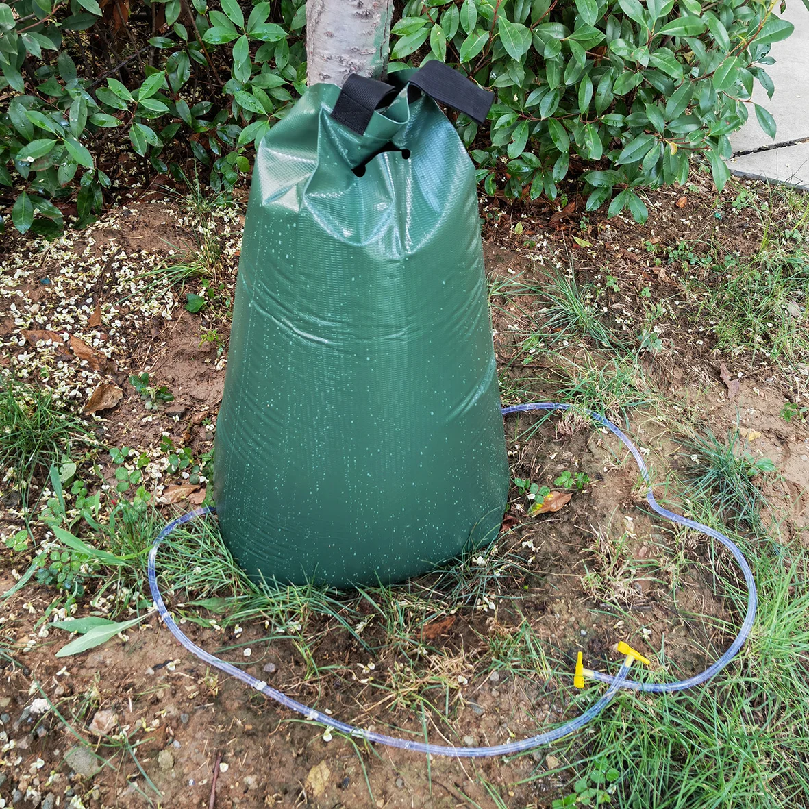 Automatic Drip 20 Gallon 25 Gallon Slow Release Tree Watering Bags-drip ...