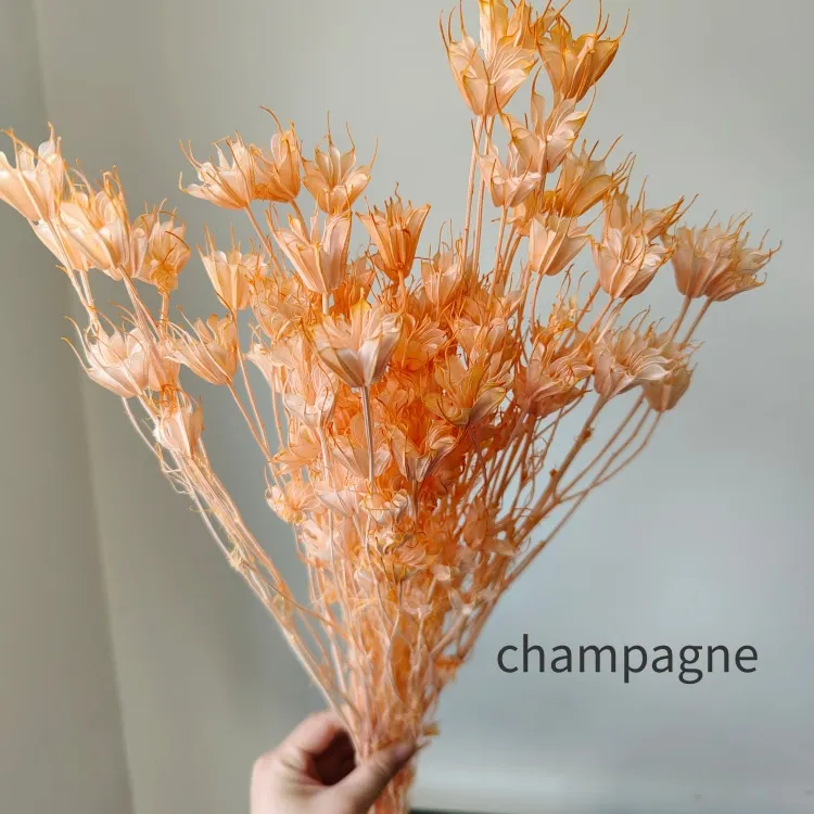 Natural Star Anise Octagon Flower Dried For Bouquets & Wedding Decor ...