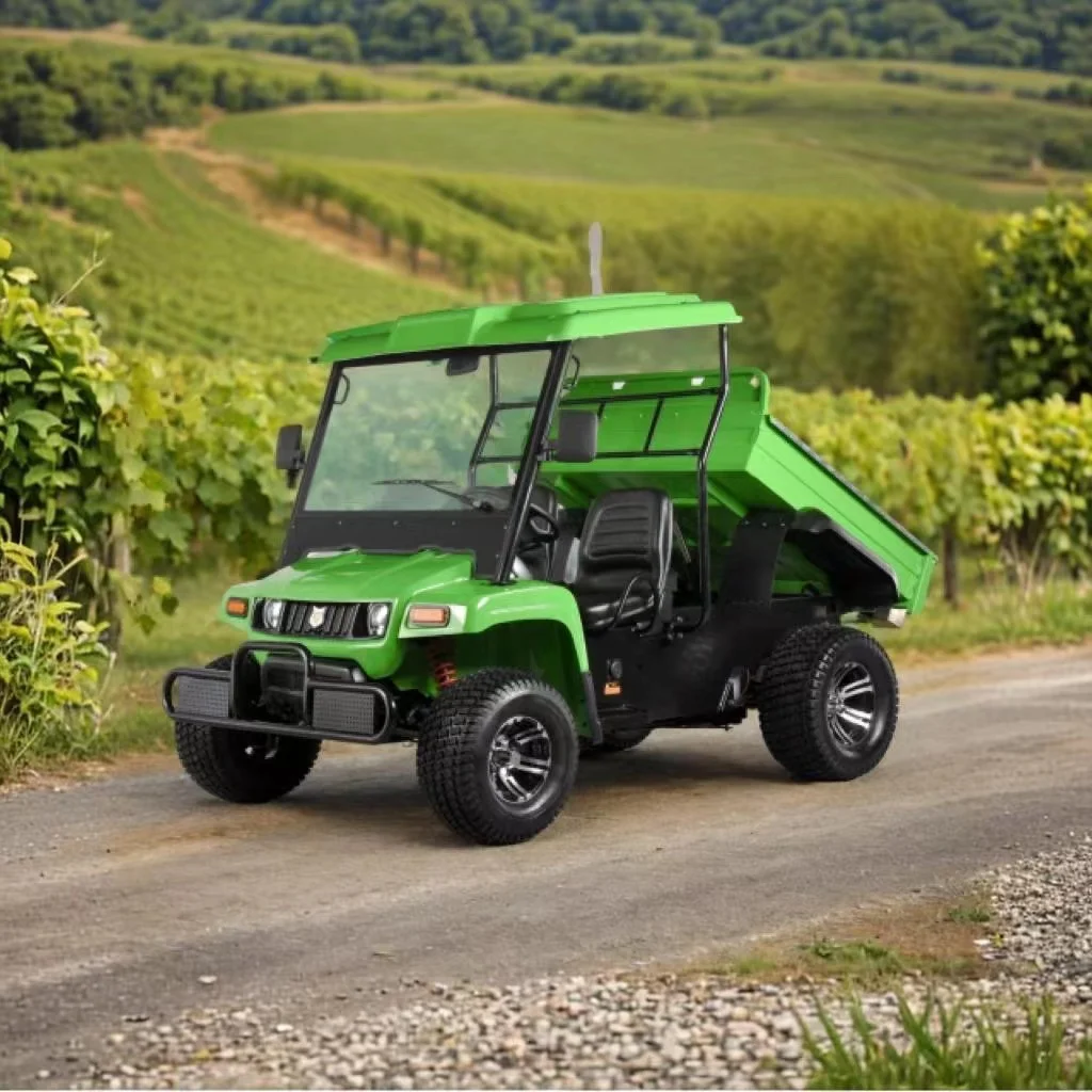 YATIAN Electric Car off Road Utility Vehicle UTV - 100km/h