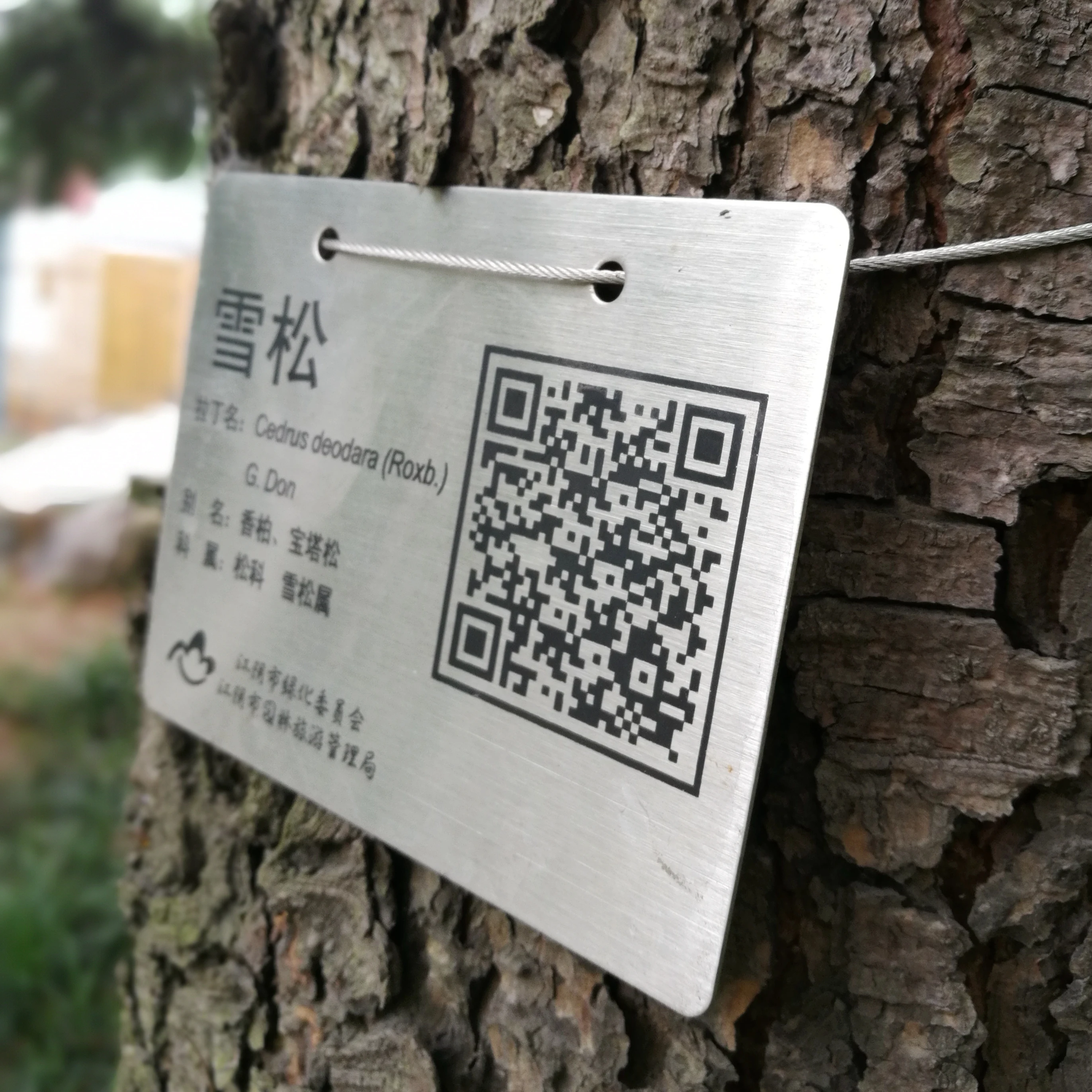 Custom Tree Metal Qr Code Id Tags Metal Aluminum Qr Code Serial Numbers ...