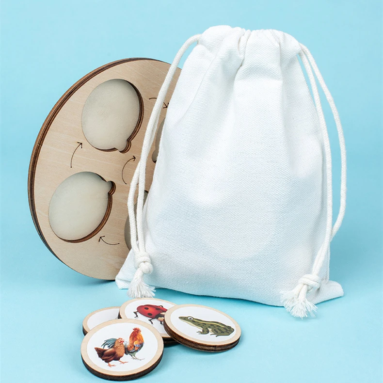 Wooden Life Cycle Tray - Montessori Material for Learning