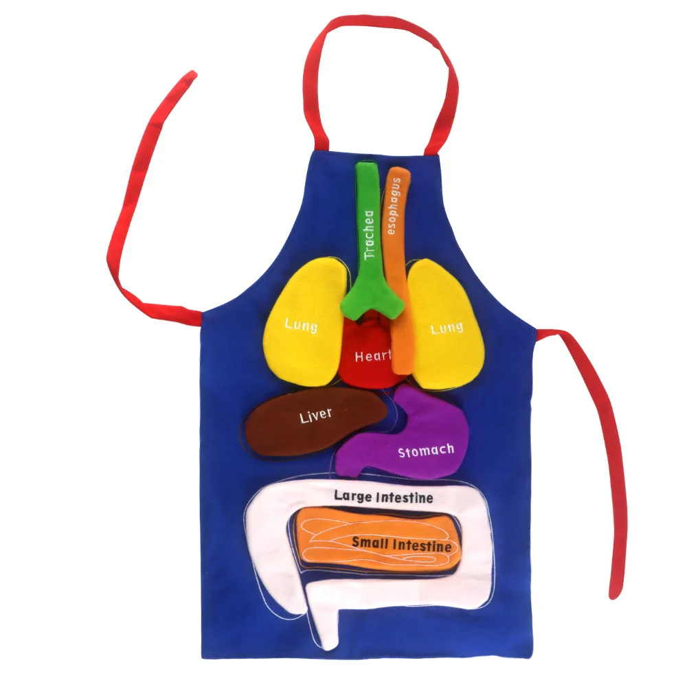 Science Apron