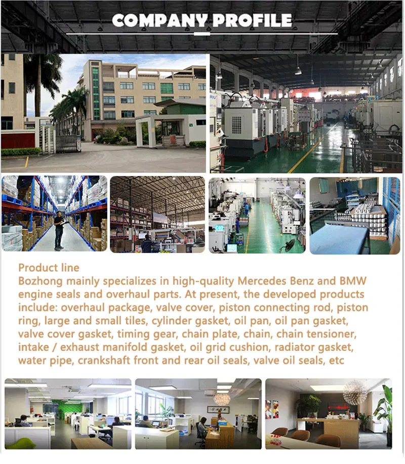 Timing Chain Cam Chain Tensioner For Bmw 1131 7584 723 11318685091 ...