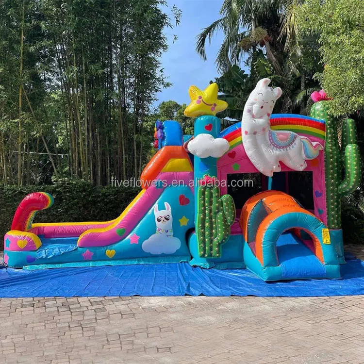 Cutest Chateau Gonflable Cactus Rainbow Jumping Castle Commercial Combo ...