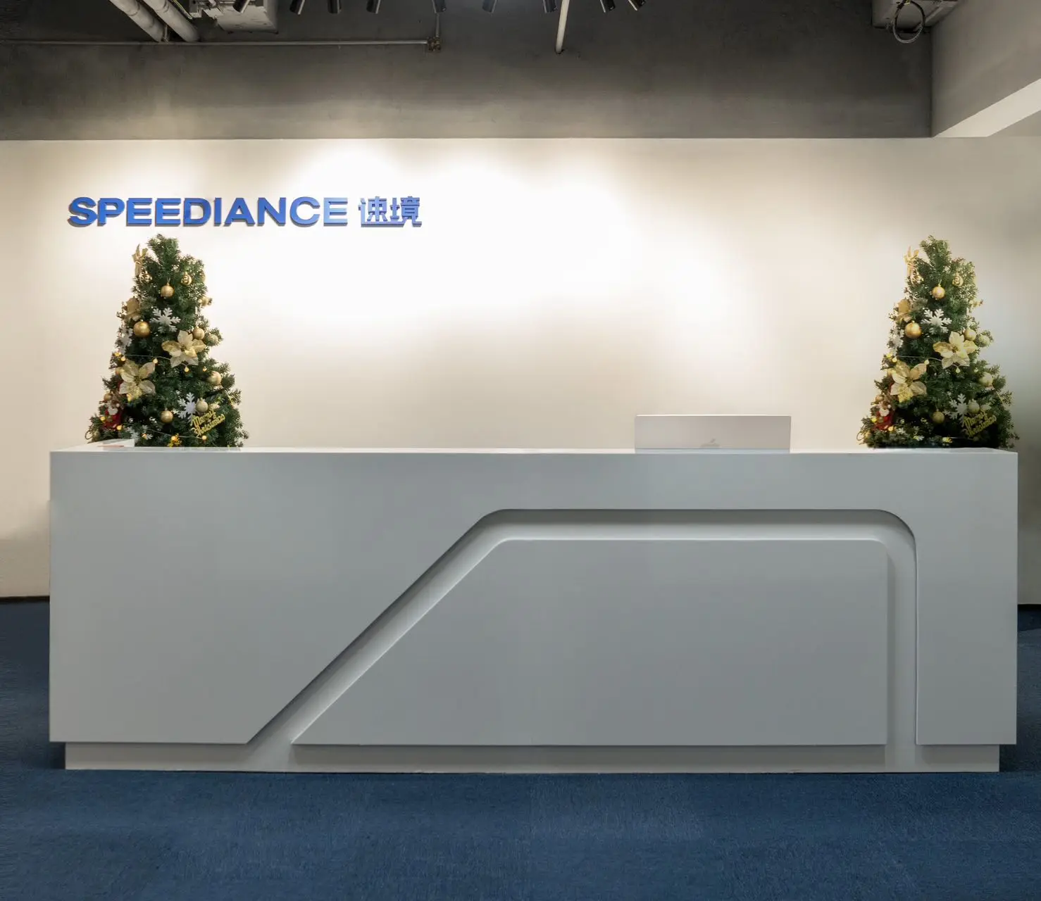 Speediance Smart Gym Single Station Multi Function Gym Machine One ...