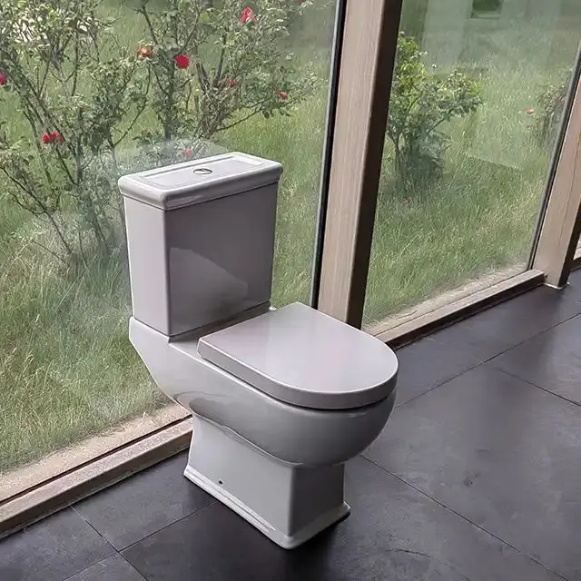 European Style D-Shape Ceramic WC Set Dual-Flush P-Trap Toilet Seat for ...