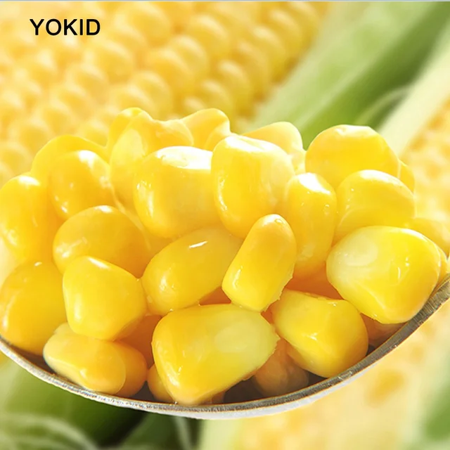Qingdao Yokid Foods Co., Ltd. - Frozen Fruits, Frozen Vegetable