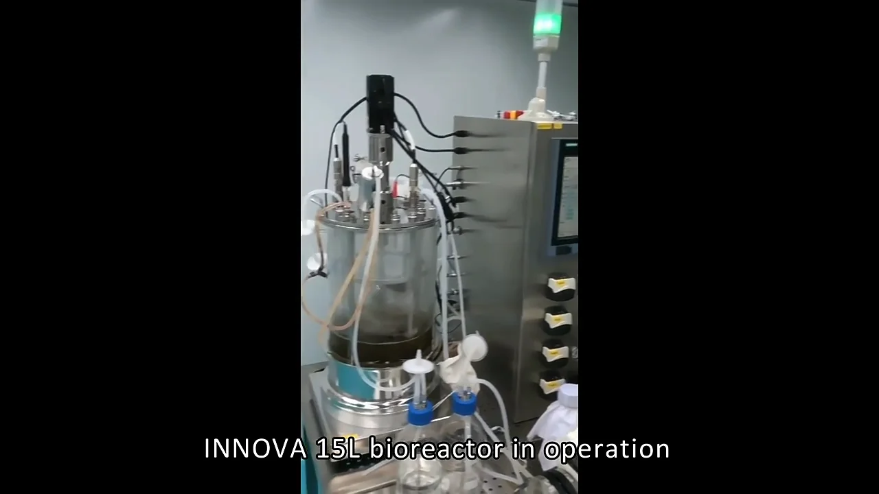 Innova Lab Scale Fermentor Bioreactor Mini Lab Reactor Multi Glass ...