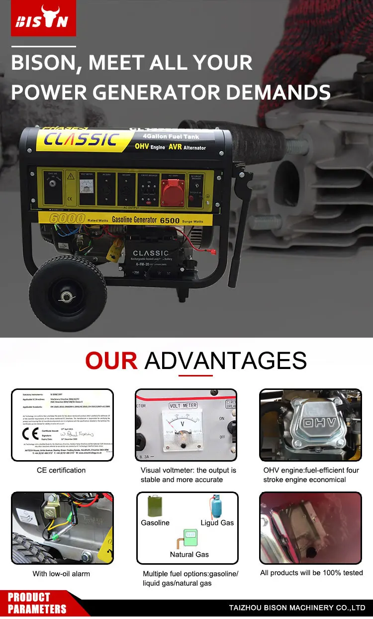 Bison Electric Gasoline Generator 1kw 2kw 8500 5 Kw 500w 650w 800w ...