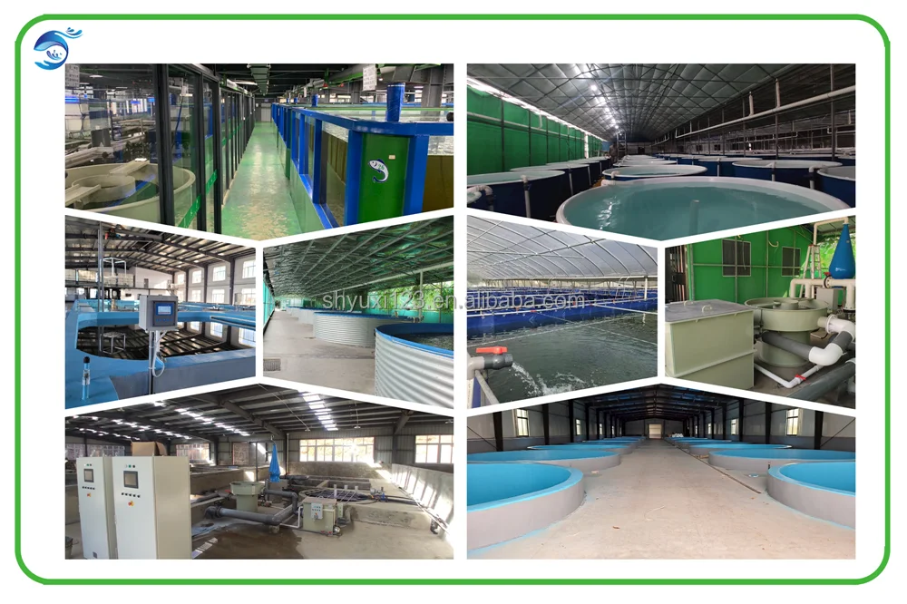 Intelligent Circulating Aquaculture Monitoring System For Fish Farming ...