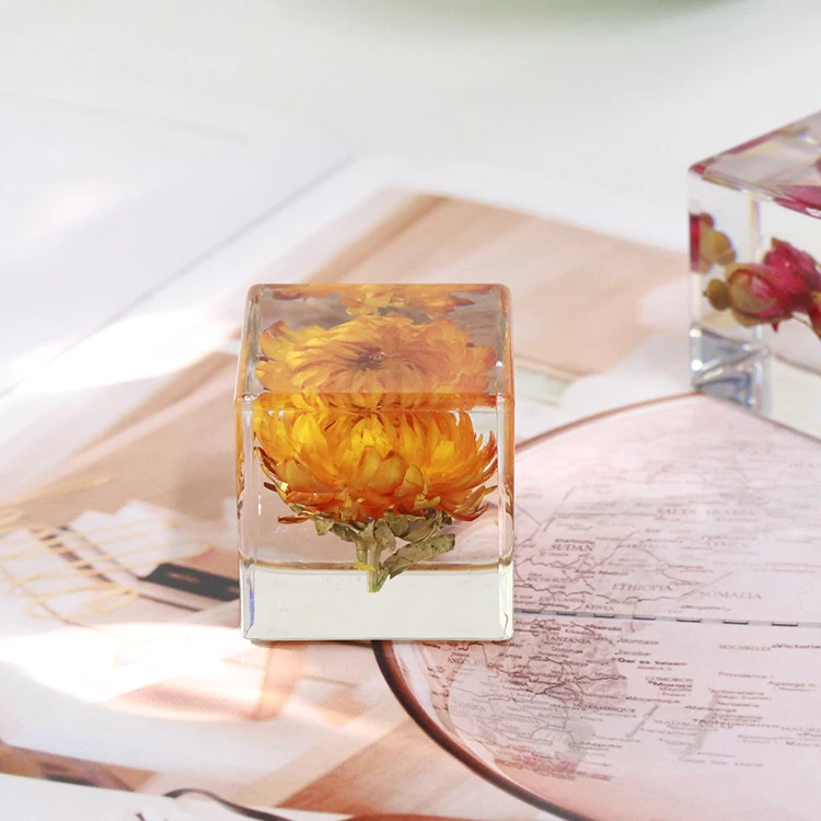 Resin Dried Flower Shaped Teaching Tool Gift - Acrylic Crafts