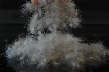 95% Washed Grey Duck Down Filling - Buy Grey Duck Down And Down ...