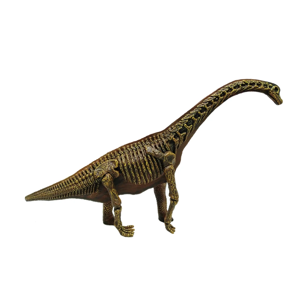 Brachiosaurus Skeleton Model