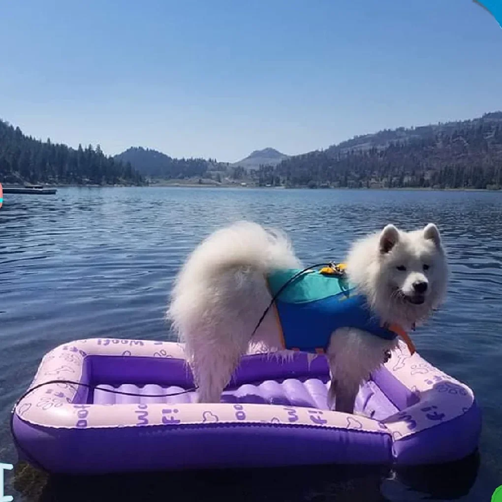 B03 Dog Floating Raft - Inflatable Dog Swimming Pool Float