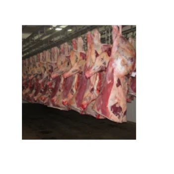 South Africa Premium Quality Bulk Boneless Frozen Beef Offals Body ...