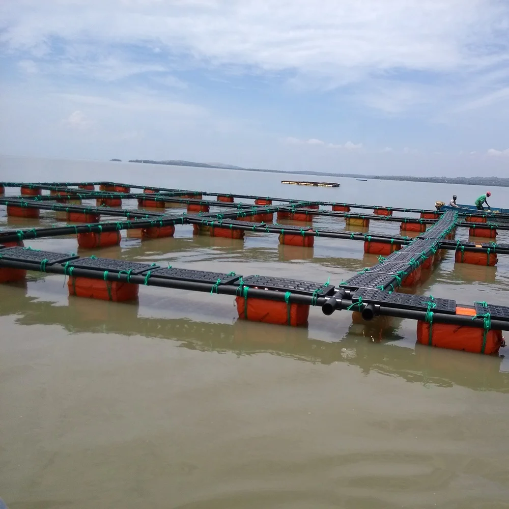 Aquaculture Square Fish Farming Cages Floating Net for Tilapia Catfish ...