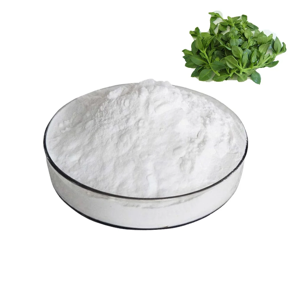 Andrographis Paniculata Leaf Extract High Quality Andrographis Extract 98 Andrographolide Cas