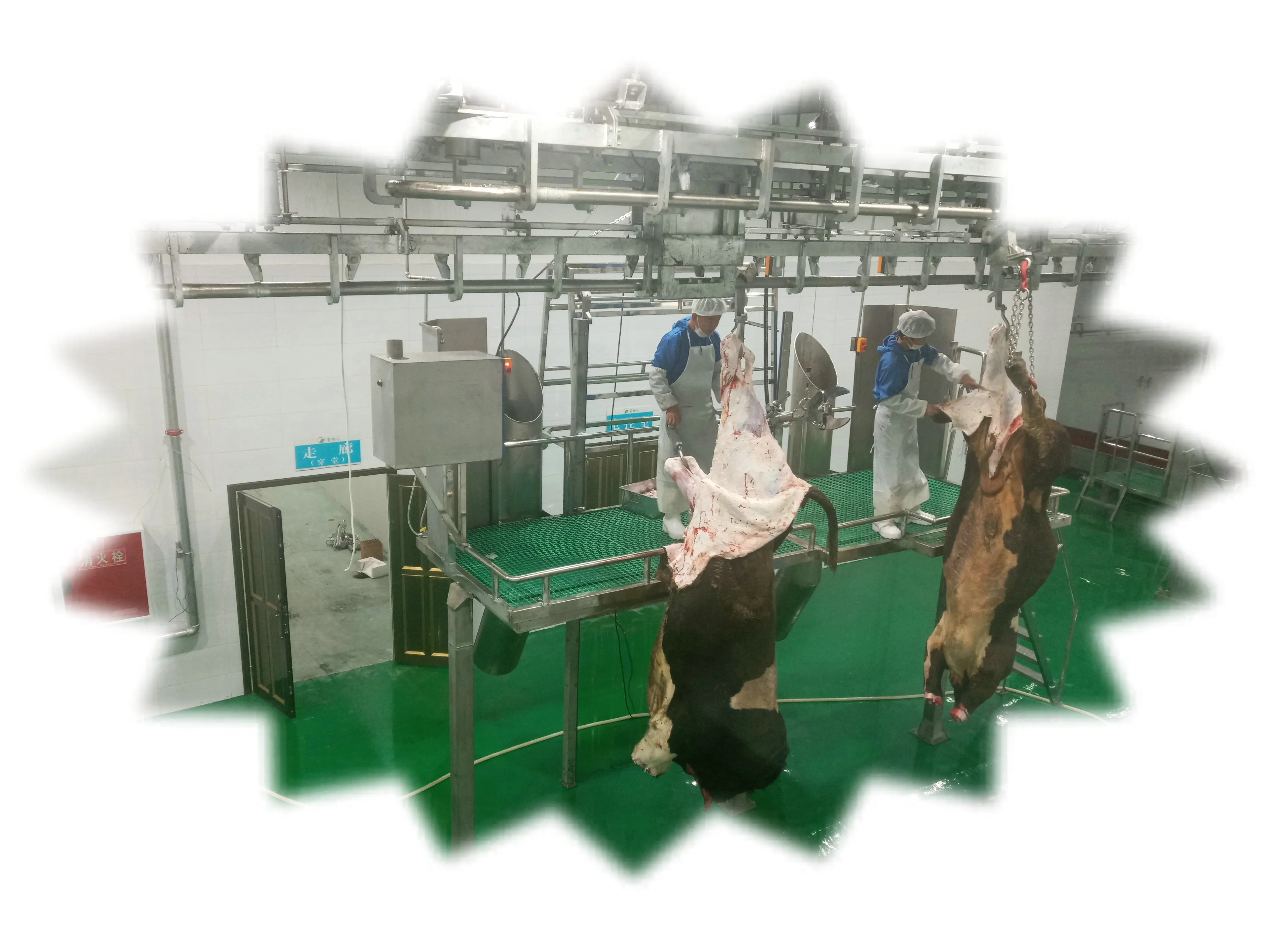 Halal Cattle Slaughter House Equipment - High Efficiency