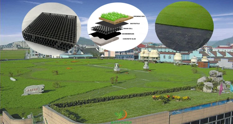 Plastic HDPE Drainage Cells for Efficient Roof Garden Solutions
