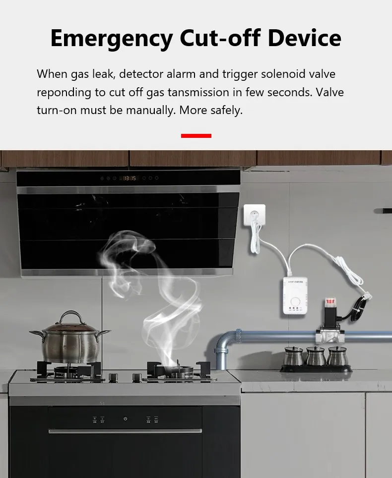 Wholesale DC Emergency Relay Valve Shut off LPG Safety