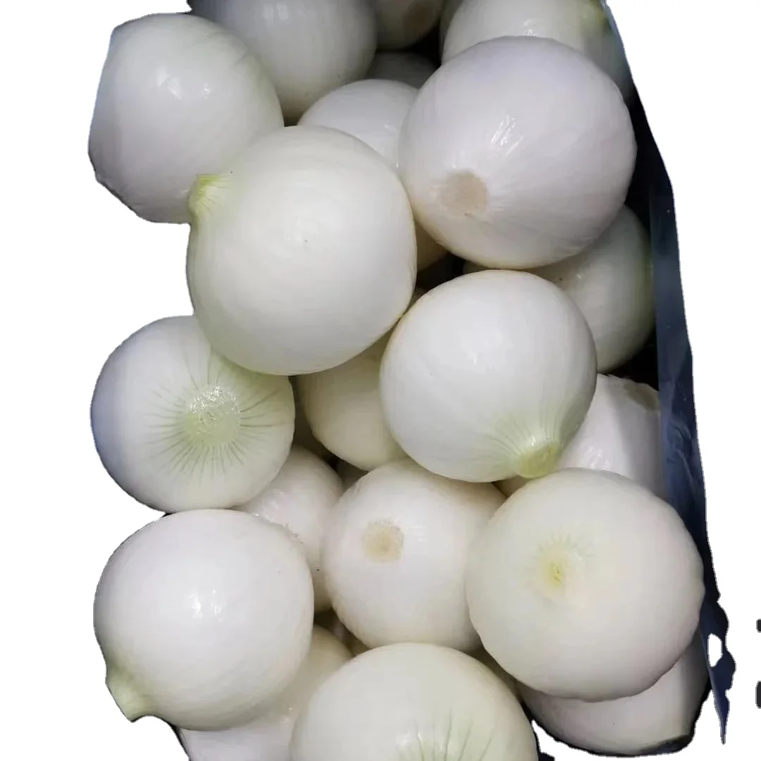 Alibaba.com: High Quality Onion Seed F1 Hybrid, Fresh Spring White ...