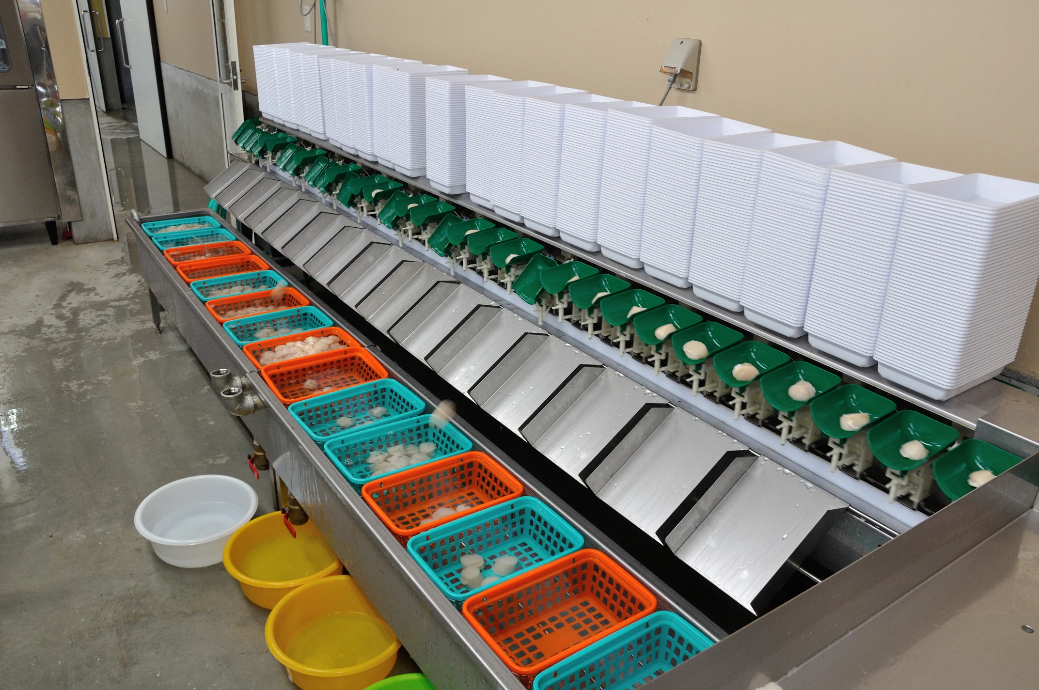 Wholesale Seafood Products Box Packaging Fresh Meat Scallop Shell - Buy ...