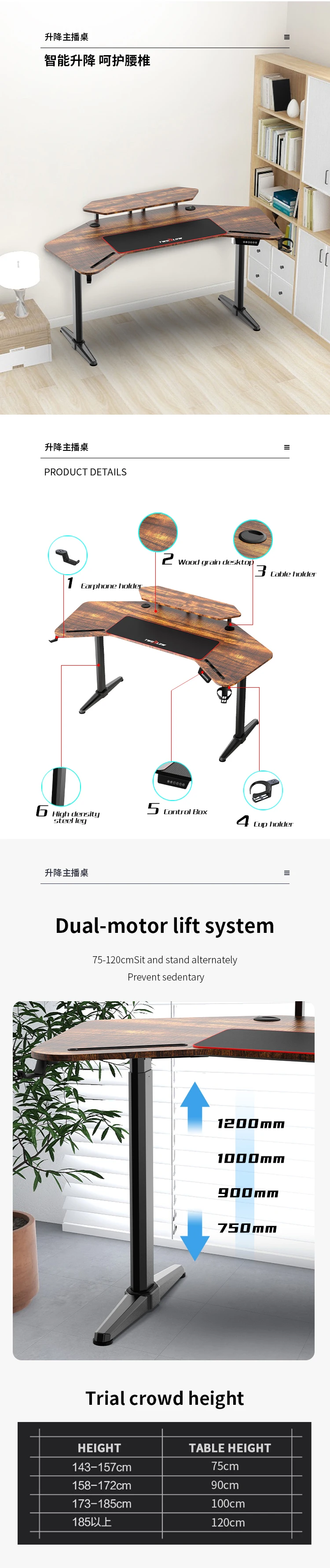 Adjustable Wood Lifting Office Table Esports Electric Gaming Desk Pc ...