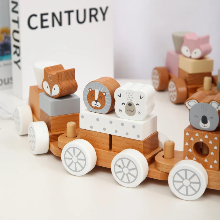 Children Pull Colorful Shape Matching Early Educational Wooden Animal ...