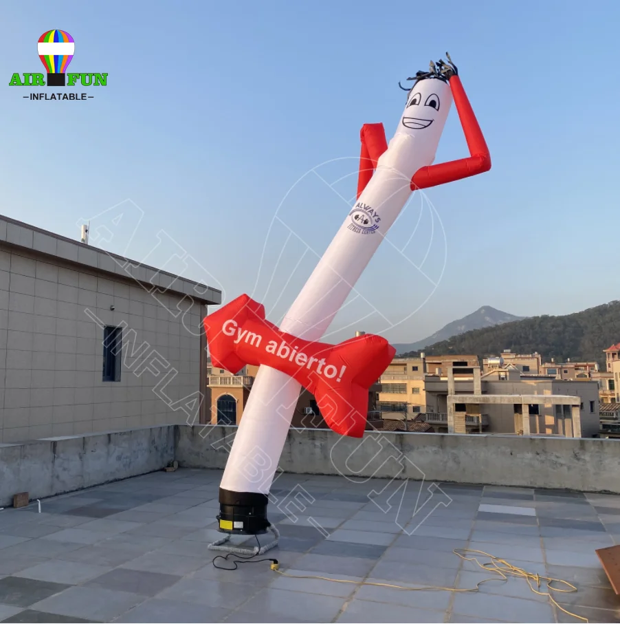 Airfun Clown Cartoon Theme Dancing Air Balloon Wacky Waving Inflatable ...
