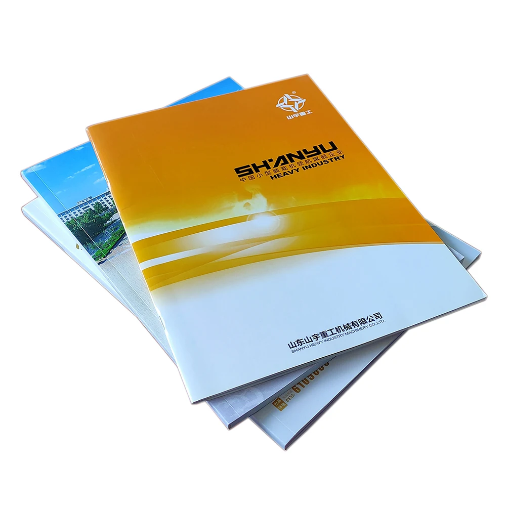 Custom Promotion Brochure/booklet/flyers/leaflet/pamphlet/book ...