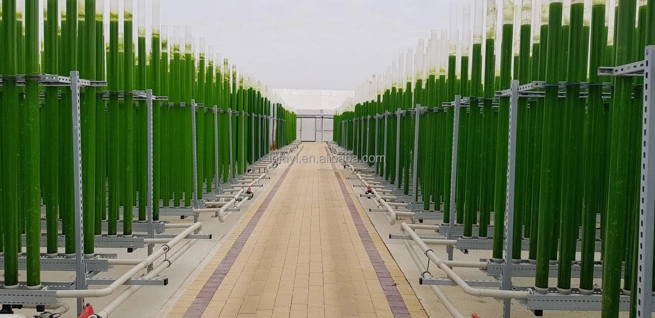 Microalgae Photobioreactor Tubular Reactor For Algae - Buy ...