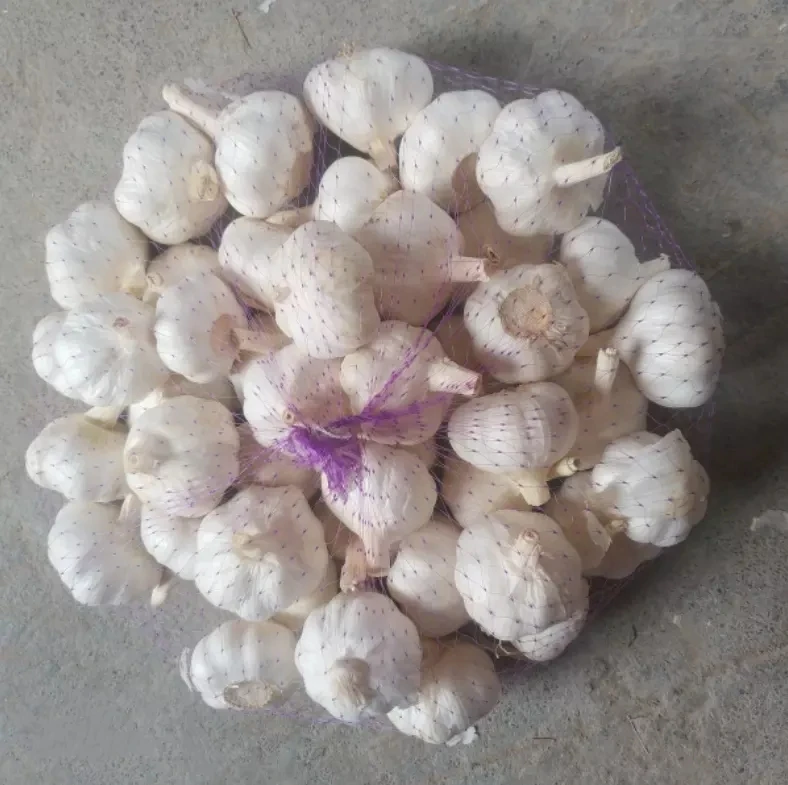 Wholesale Export Chinese Fresh Garlic - Buy Fresh Garlic,Garlic,Chinese ...