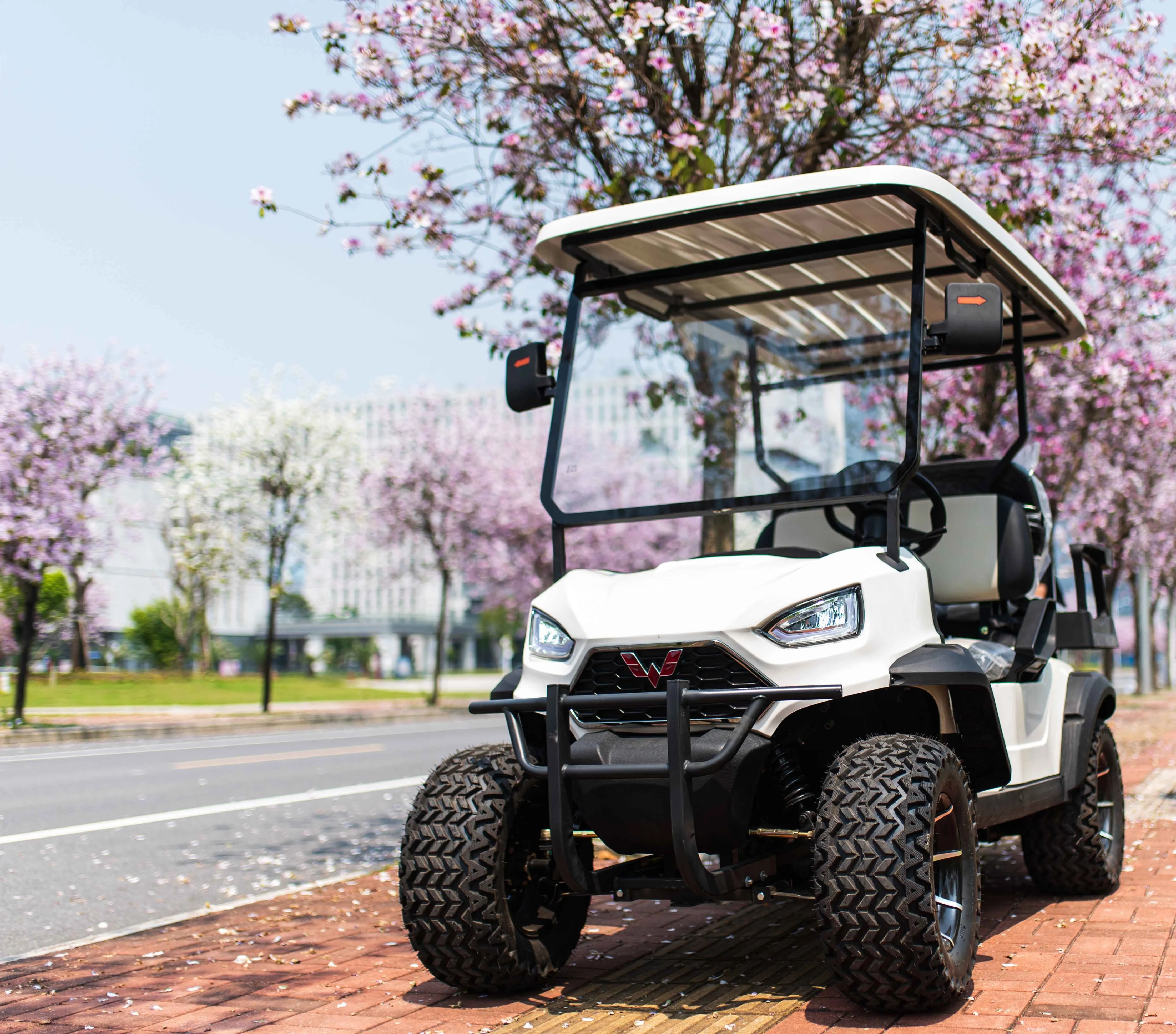 2023 New Golf Cart Lifted Golf Cart All Terrain Golf Cart Electric Car ...