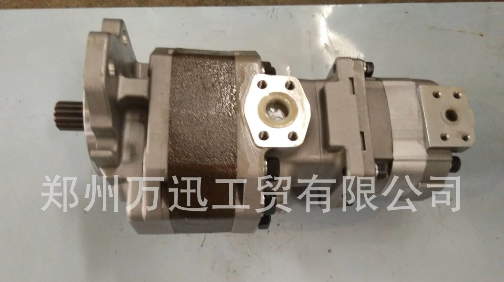 705-95-01020 Hydraulic Gear Pump for Komatsu Dump Truck HM250-2/HM300-2 ...