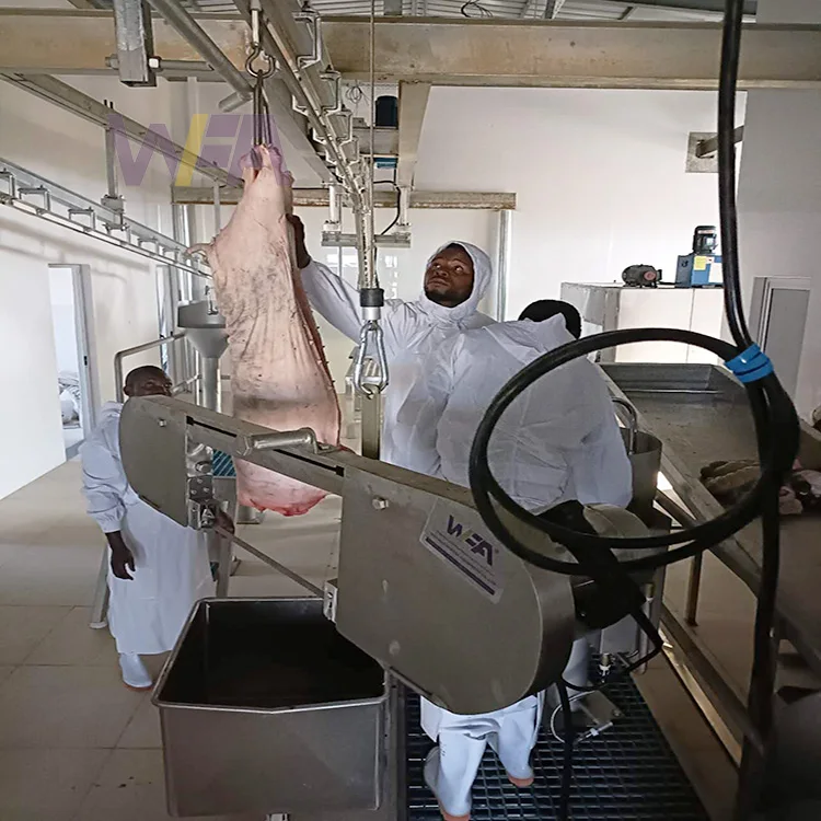 Automatic pig abattoir equipment slaughterhouse pork slaughter ...