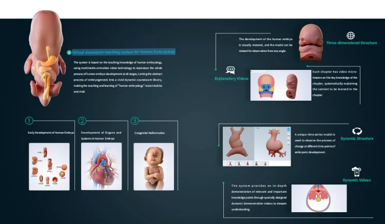 Human Virtual Anatomy Table - 3D Dissection for Medical Science