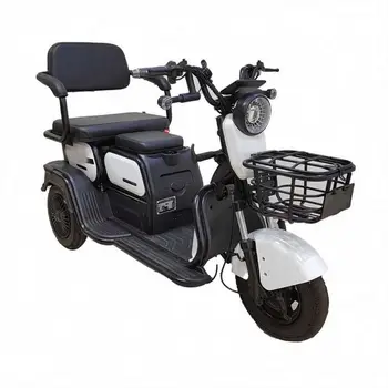 Enclosed 32ah Tricycle Electric Bike Cargo 60km/h Speed For The ...