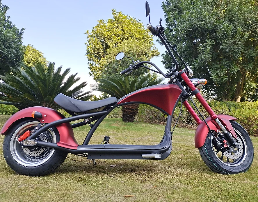 Scooter Engine Electrique 1500w Electric Mini Citycoco 30km Titanium ...