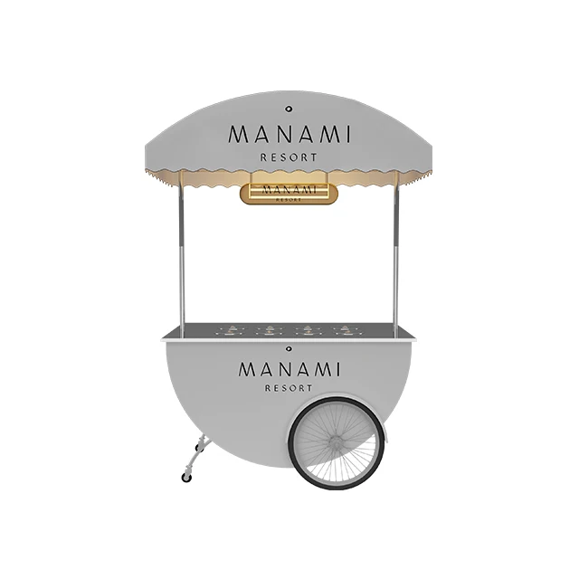 Mobile Push Cart Display Ice Cream/ice Cream Trolley/cart To Sell Ice ...