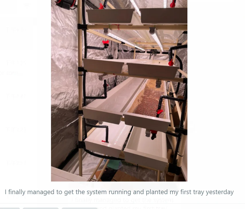 Vertical Hydroponic Microgreen Trays Grow System for Sale