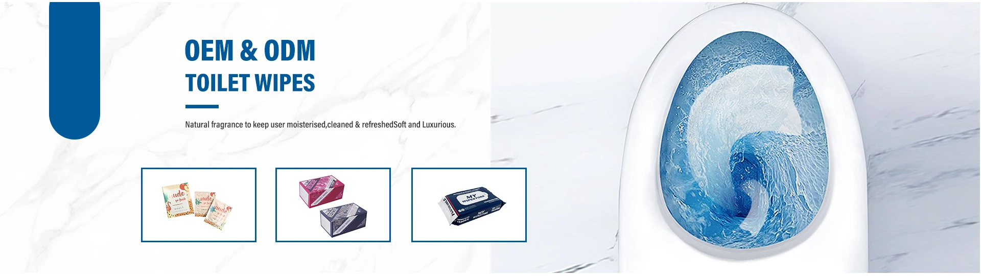 Company Overview - Haining Lily Cleaning Products Co., Ltd.