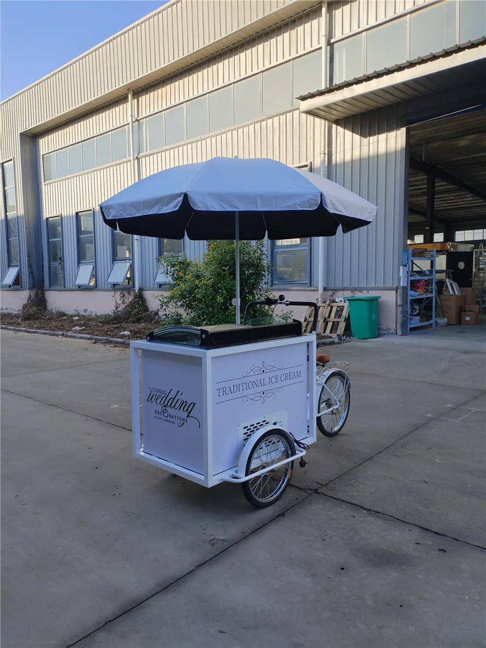 Ice Cream Tricycle with Freezer for Sale | Commercial Ice Cream Cart ...